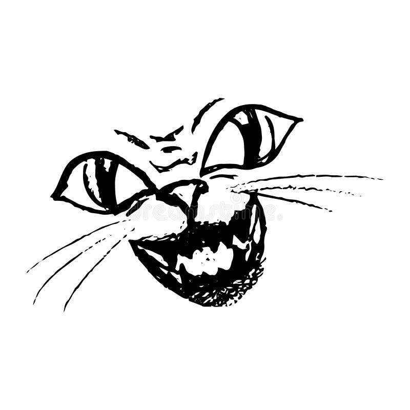 Glimlach Enge Kat, Boos Gezicht Vector Illustratie - Illustration of ...