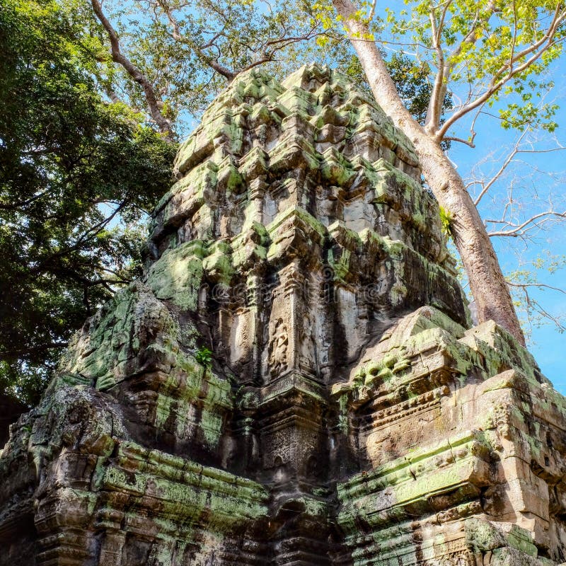 A Glimpse of the Crumbling Stone Tower of the Ta Prohm Temple Complex ...