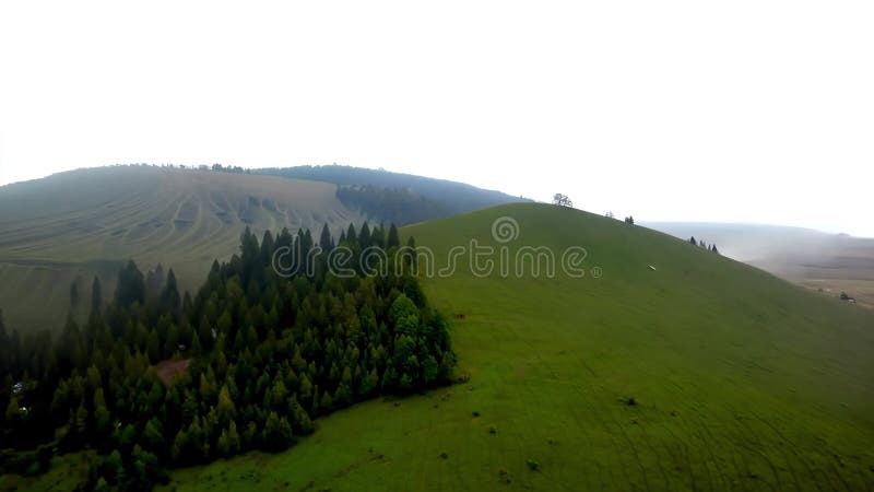 A Glimpse into the Hidden Ecosystem Thriving Inside a Dormant Volcano S ...