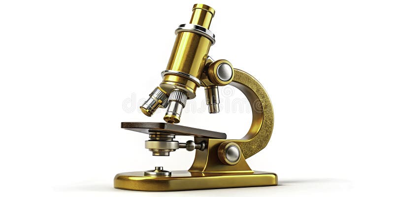 A Glimpse into the Microcosm Exquisite Vintage Microscope Photography ...