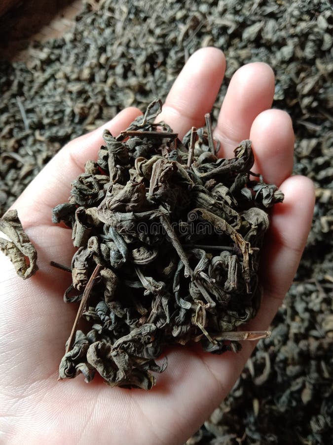 A Glimpse of Mountain& X27;s Essence: Pure Brew of Mountain Source Tea ...