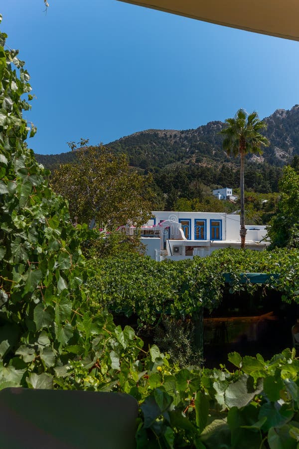 Glimpse of Typical Greek Architecture and Colours White and Blue among ...