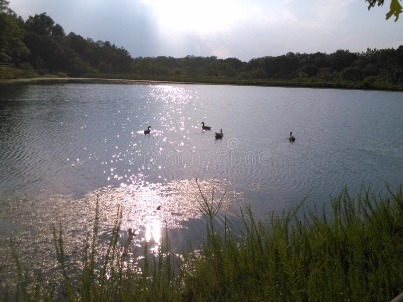 Glistening lake stock image. Image of shining, nature - 76221537