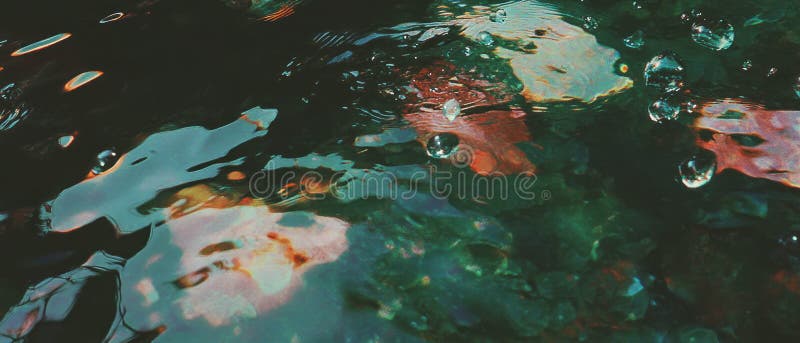 Glistening Raindrops Create Mesmerizing Reflections on a Calm Surface ...