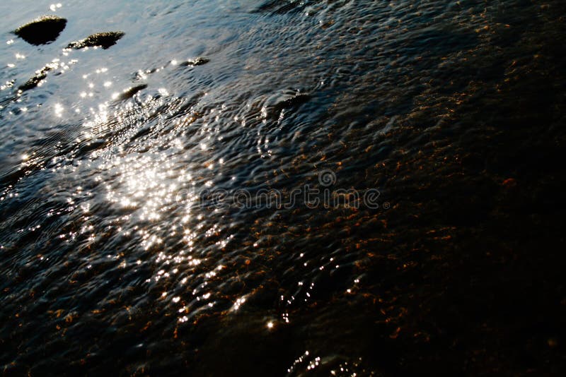 Sparkling Golden Water Reflections Under Bright Sunlight Surface Stock ...