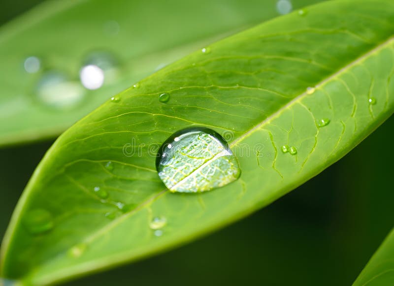 Co2 Reduction Health Stock Illustrations – 201 Co2 Reduction Health ...