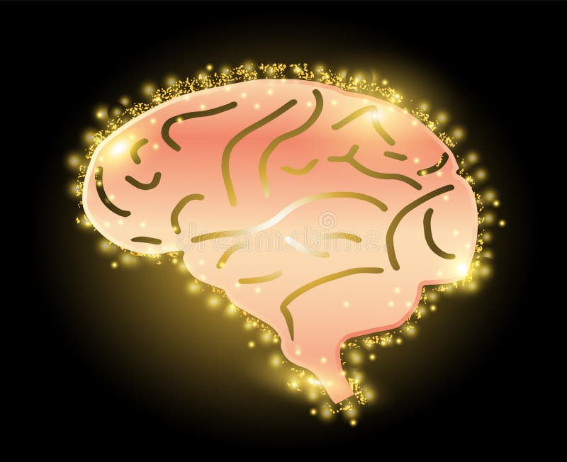 Glitter gold brain stock vector. Illustration of mind - 249011525