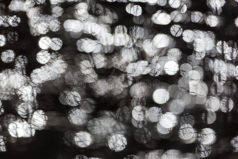 Glitttering Round Flares Light Reflexes in Water Surface in Fo Stock ...