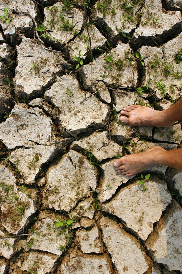 5+ Earth crack death crisis Free Stock Photos - StockFreeImages