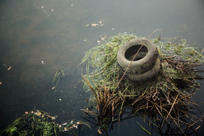 Global Environmental Problem of Pollution by Man-made Objects, the ...