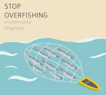 Overfishing Stock Illustrations – 558 Overfishing Stock Illustrations ...