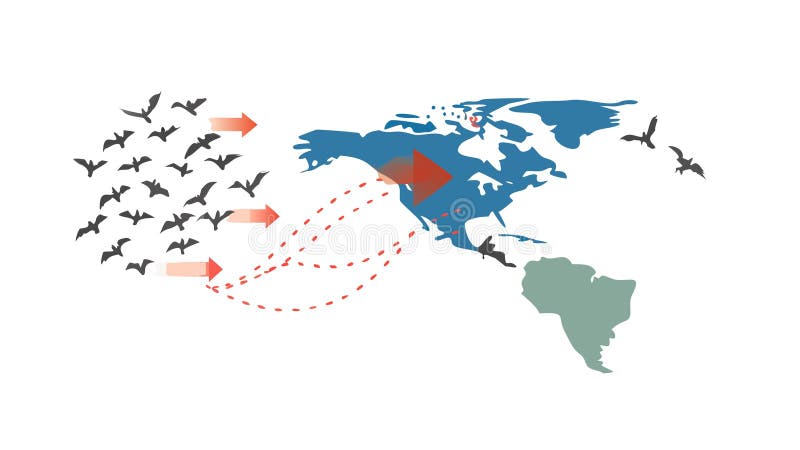 Bird Flight Routes Stock Illustrations – 17 Bird Flight Routes Stock ...