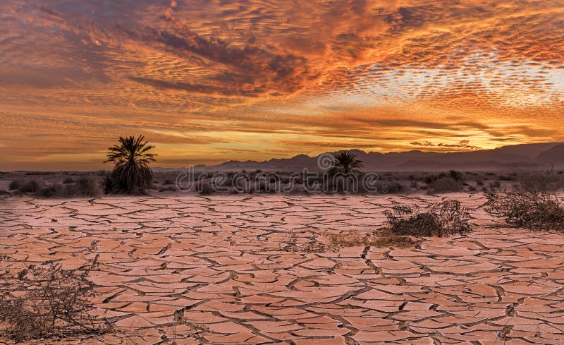 Global Warming. Desert of the in the Middle East Stock Photo - Image of ...