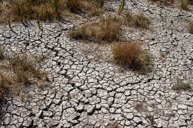 Global Warming, Desertification, Dry and Cracked Soil Due To Lack of ...