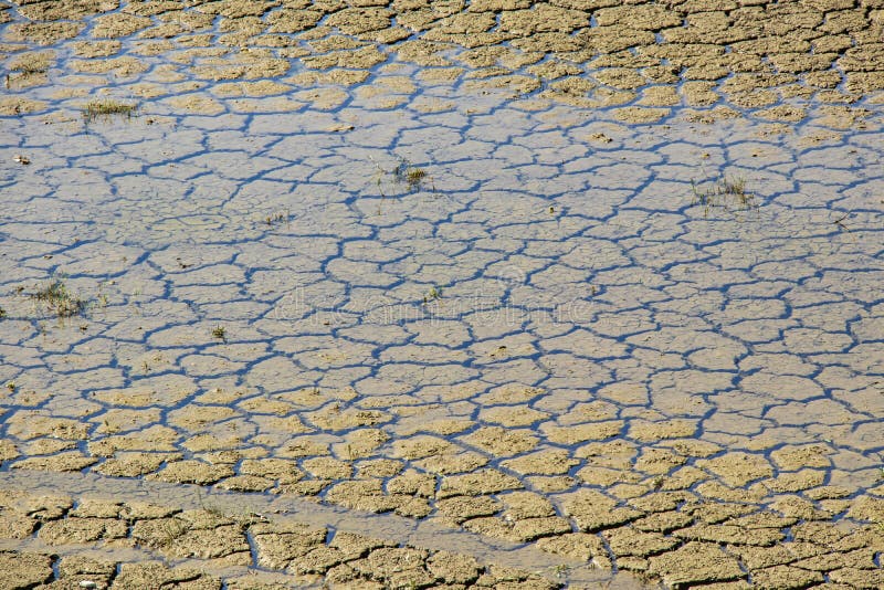 Global warming and drought stock image. Image of dirt - 259904429