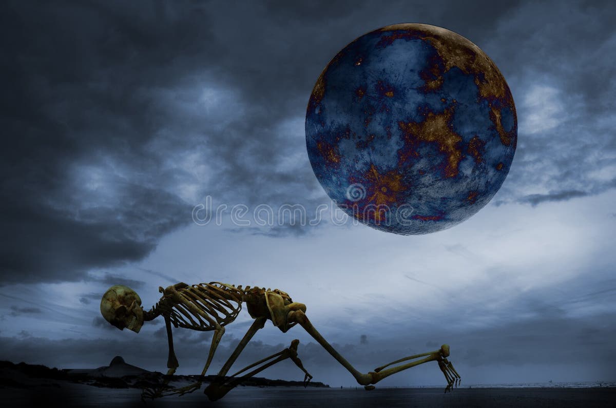 Skeleton Globe Stock Illustrations – 594 Skeleton Globe Stock ...