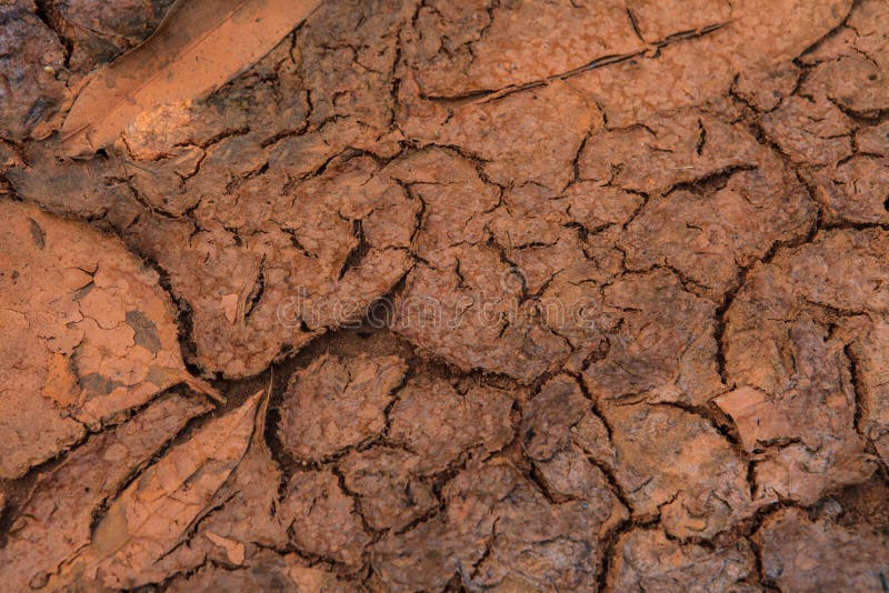 Global Warming - Parched Earth Stock Image - Image of backdrop, desert ...