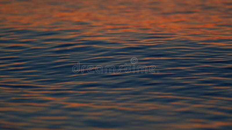 Global Warming. Wave Water with Reflection of Sunlight at Sunset. Real ...