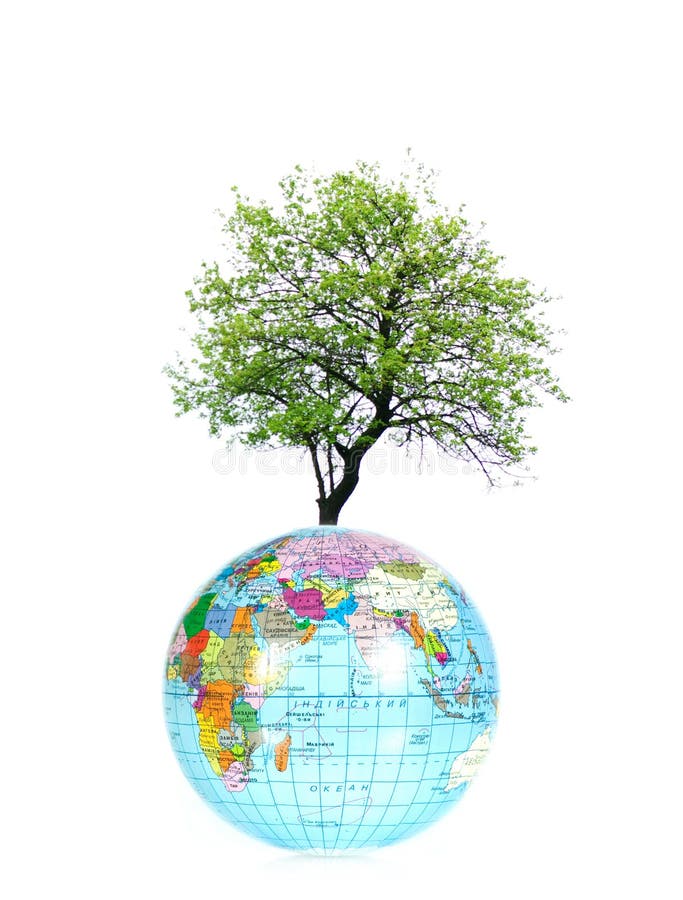 Tree growing from earth stock image. Image of earth, grow - 8481435