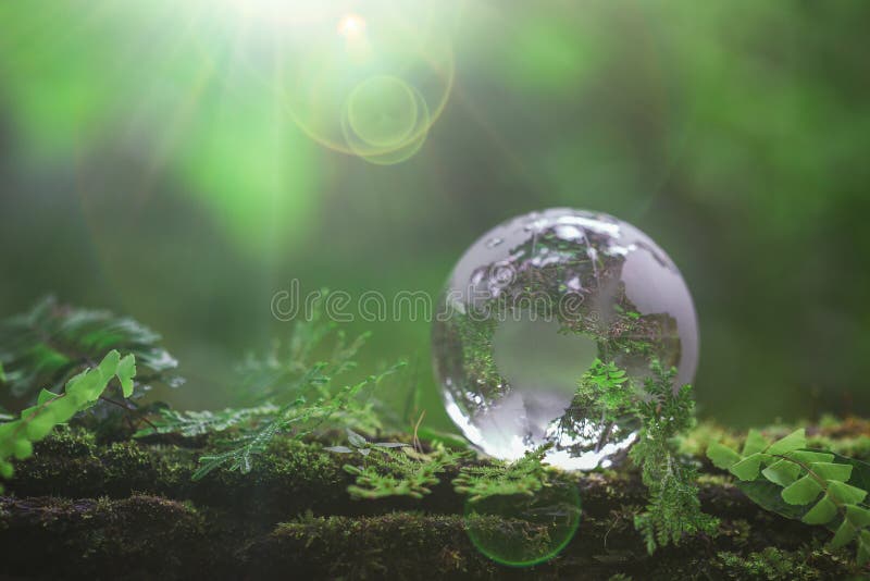 Globe Planet Glass in Green Forest with Bokeh Nature Lights. World ... Globe Planet Glass in Green Forest with Bokeh Nature Lights. World ...