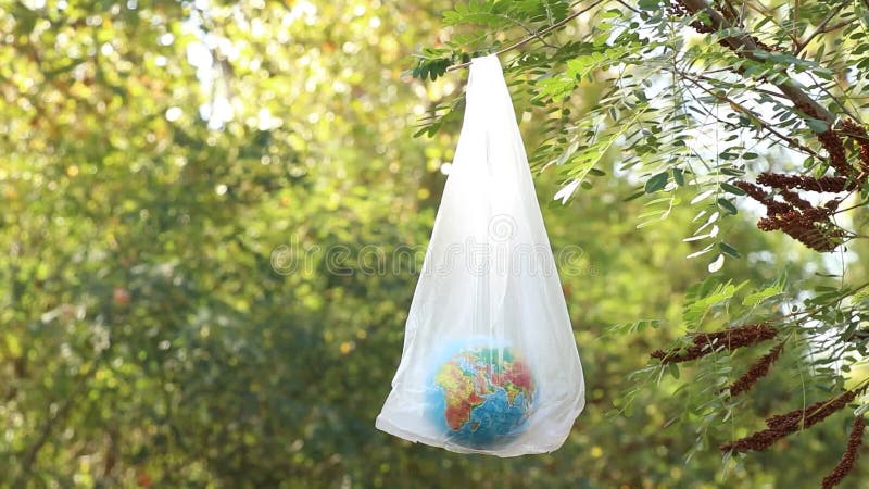 A Globe in a Plastic Bag Hangs on a Branch in the Forest on a Tree ...