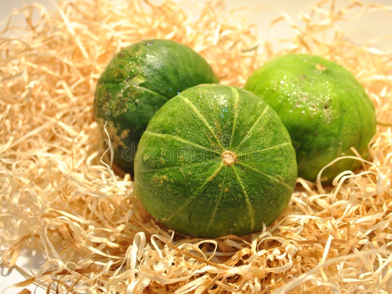Globe squash stock photo. Image of kitchen, food, body - 37760064
