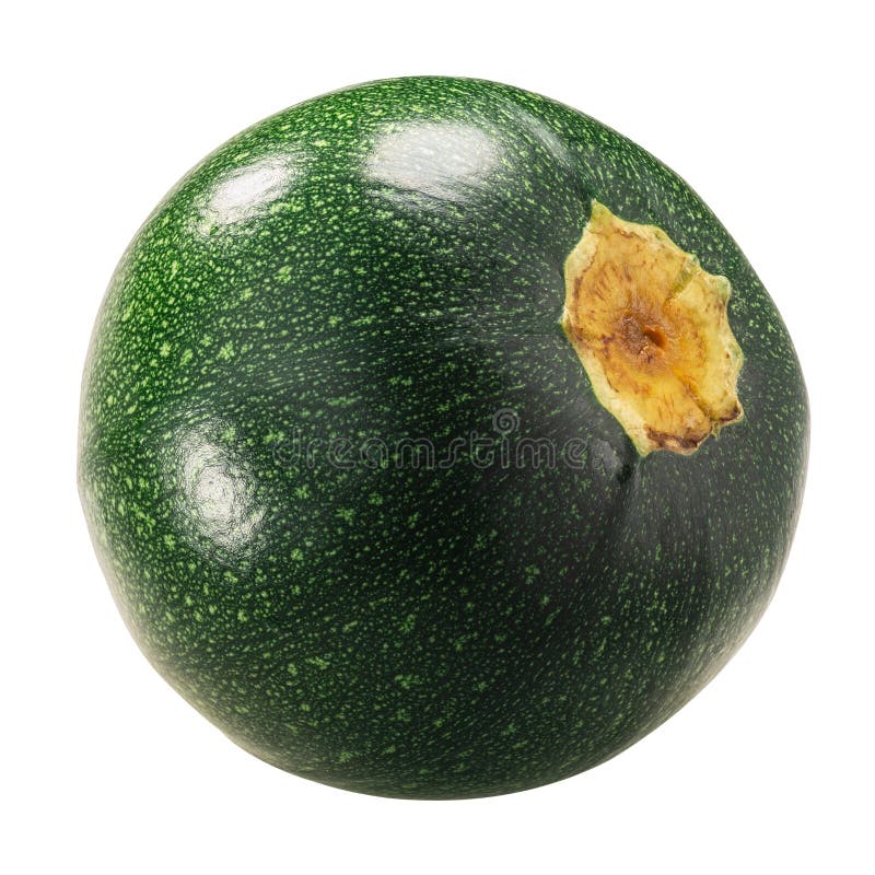 Globe Striped Zucchini Cucurbita Pepo Fruit, Isolated Stock Image ...