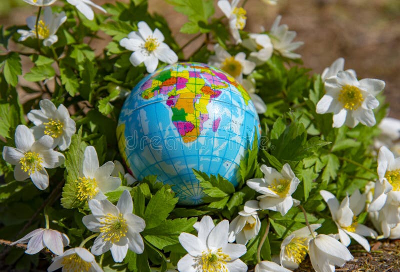The Globe is Surrounded by Bright Spring Flowers Stock Photo - Image of ...