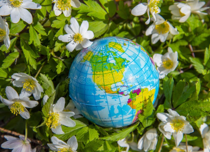 The Globe is Surrounded by Bright Spring Flowers Stock Image - Image of ...