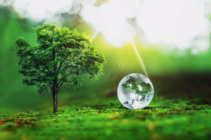 Globe and Trees and Sunlight Shining through Stock Photo - Image of ...