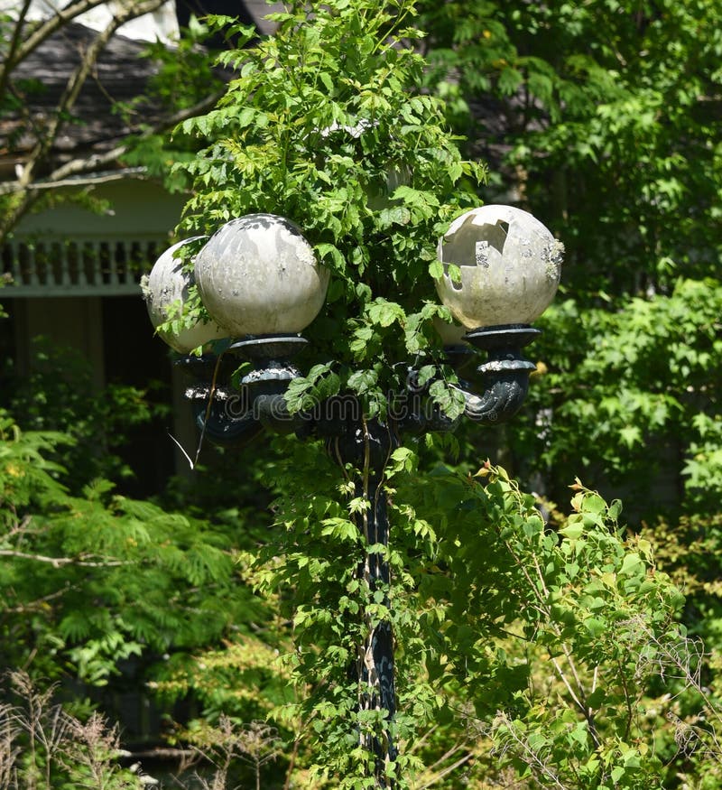 Globes on Lamppost Broken and Overgrown Stock Photo - Image of lamp ...