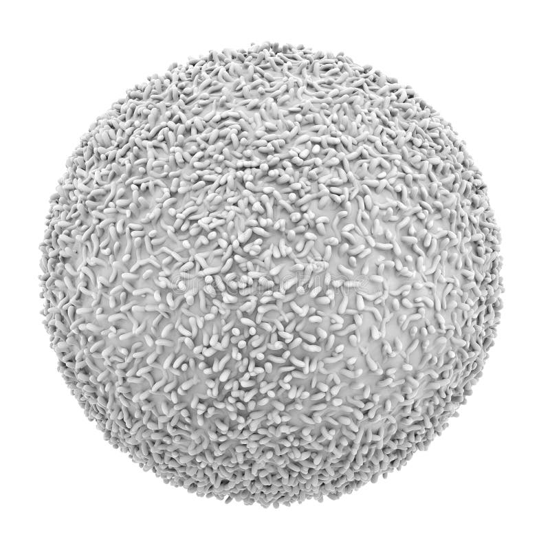 Globules Blancs Avec Les Globules Rouges Illustration Stock ...