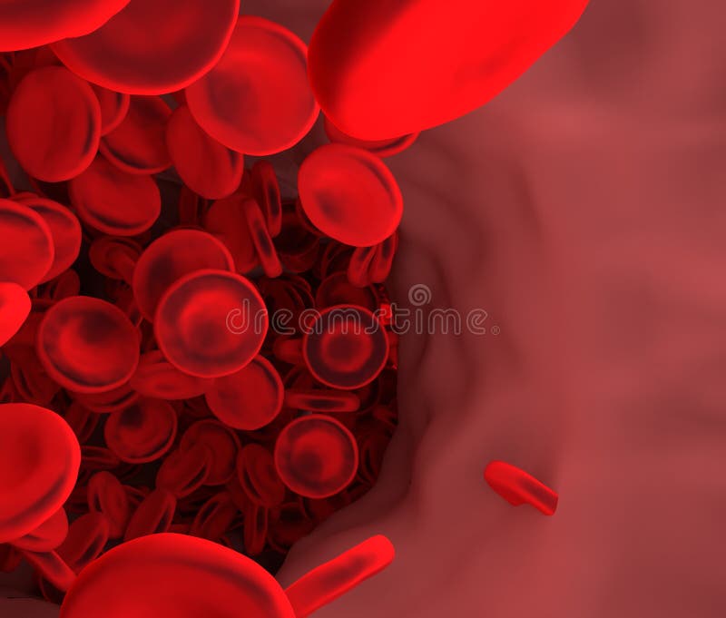 Globule Rouge Dans Le Vaisseau Sanguin Illustration Stock ...