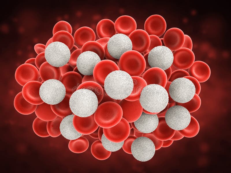 Globules Blancs Avec Les Globules Rouges Illustration Stock ...