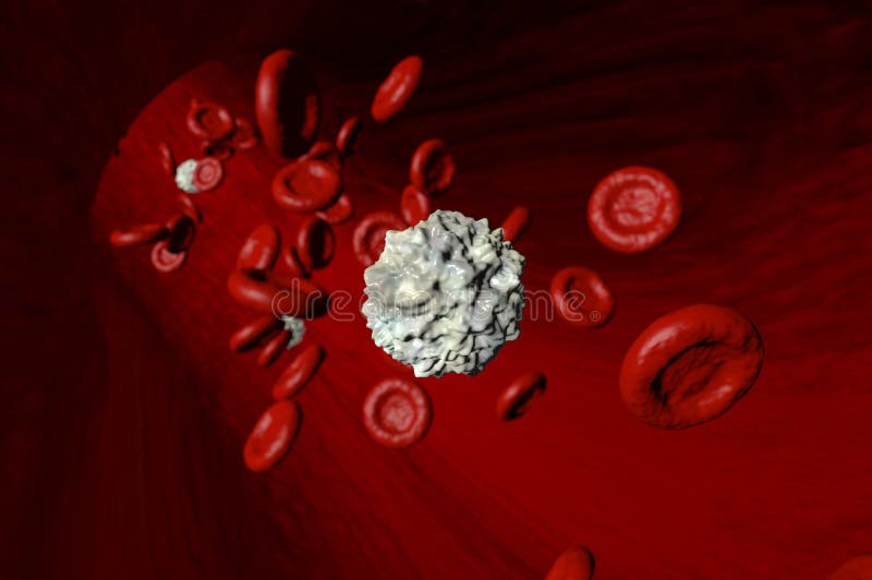 Globules Blancs Parmi Le Contexte Des Globules Rouges Illustration ...