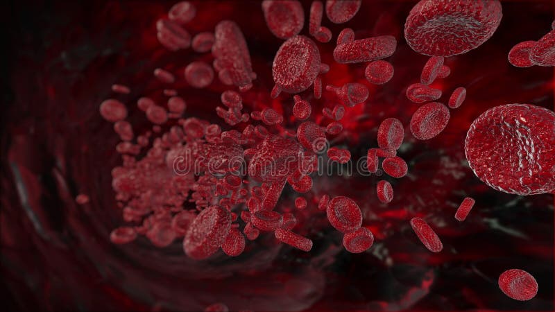 Globules rouges illustration stock. Illustration du artère - 64334096