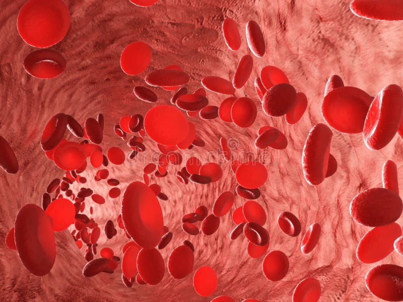 Globules rouges illustration stock. Illustration of artériel - 71452071