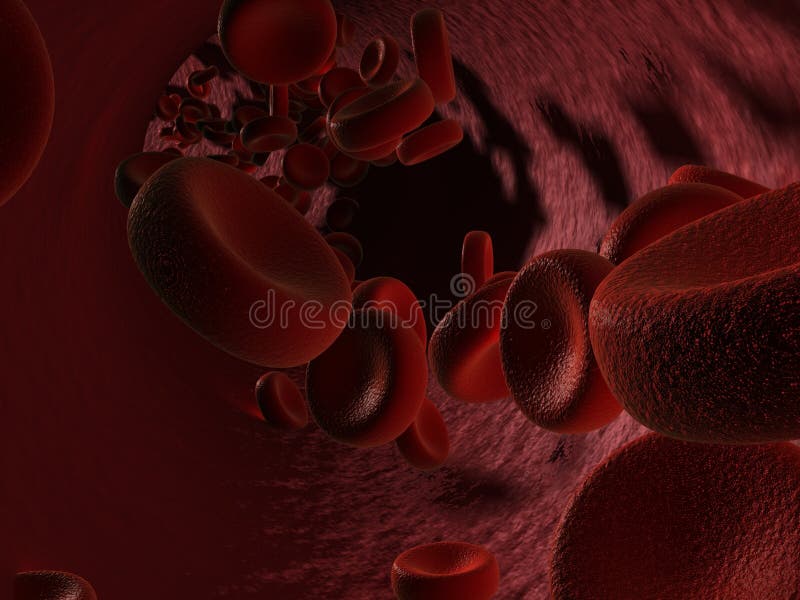 Globules rouges illustration stock. Illustration du humain - 6624904