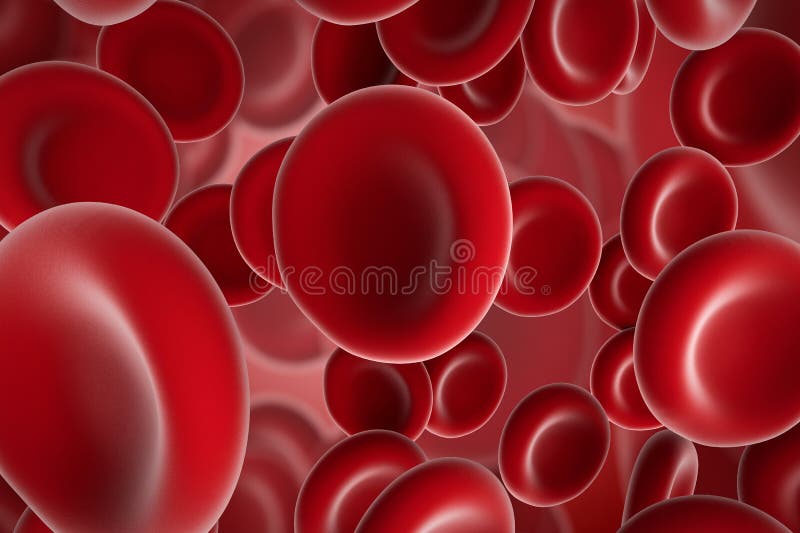 Globules Rouges Dans La Veine Photo stock - Image du sang ...