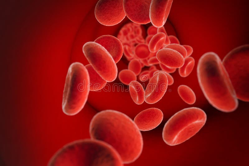 Globules rouges illustration stock. Illustration du cardiovasculaire ...