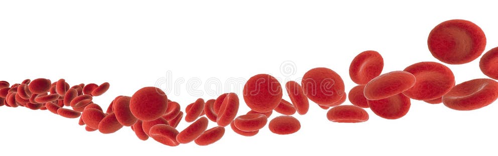 Globules Rouges Circulant Sur Le Blanc Illustration Stock ...