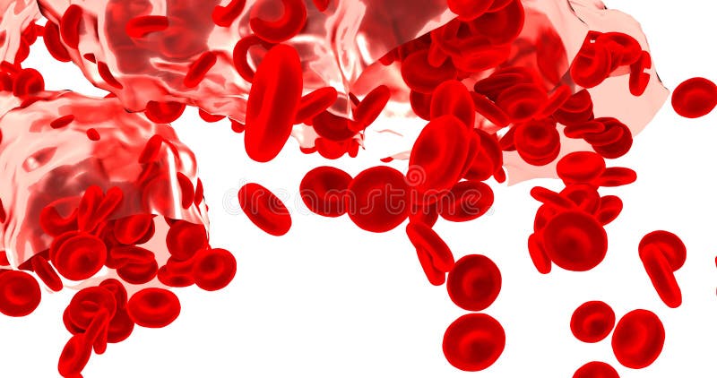 Globules Rouges D'isolement Sur Le Fond Blanc Illustration Stock ...