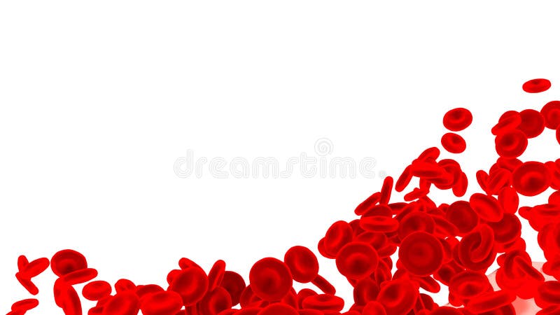 Globules Rouges D'isolement Sur Le Fond Blanc Illustration Stock ...