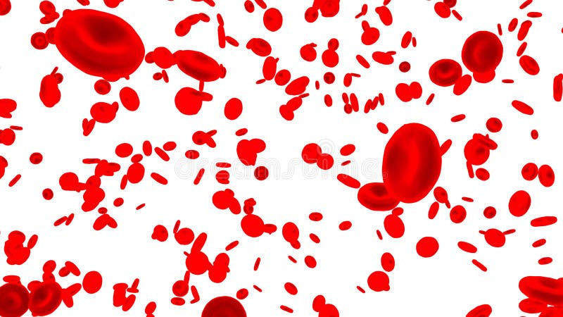 Globules Rouges D'isolement Sur Le Fond Blanc Illustration Stock ...