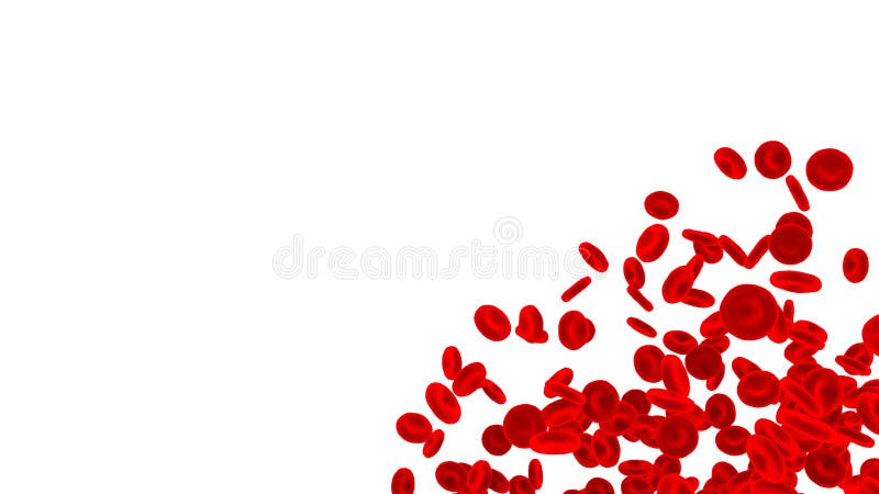 Globules Rouges D'isolement Sur Le Fond Blanc Illustration Stock ...