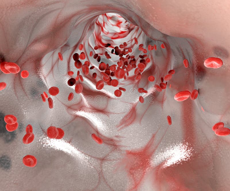 Globules Rouges Dans Un Vaisseau Sanguin Illustration Stock ...