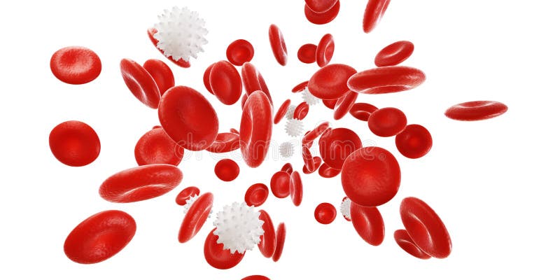 Globules Rouges Et Blancs Veine Science Concept 3d Illustration ...