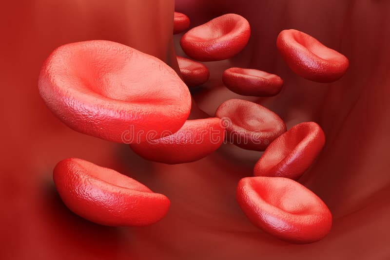 Globules Sanguins érythrocyte, Lymphocyte, Plaquette, Rendu 3D ...