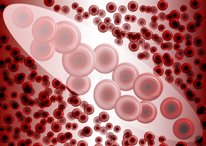 GLOBULES ROUGES SOUS LE RAPPORT OPTIQUE Illustration de Vecteur ...