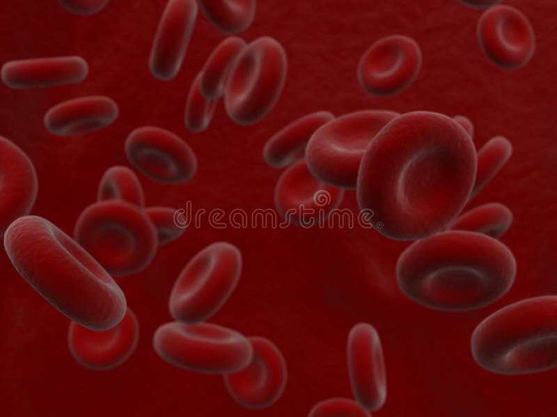 Globules sanguins illustration stock. Illustration du sang - 12159337